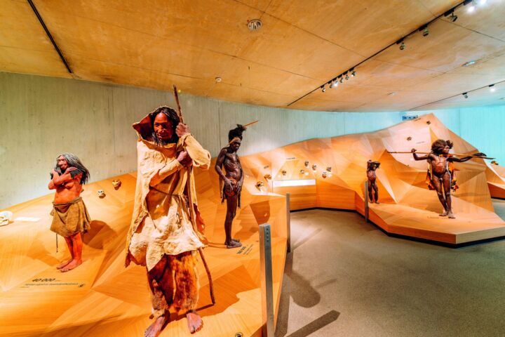 Visit the Neanderthal Museum – a member of Ice Age Europe - Network of ...